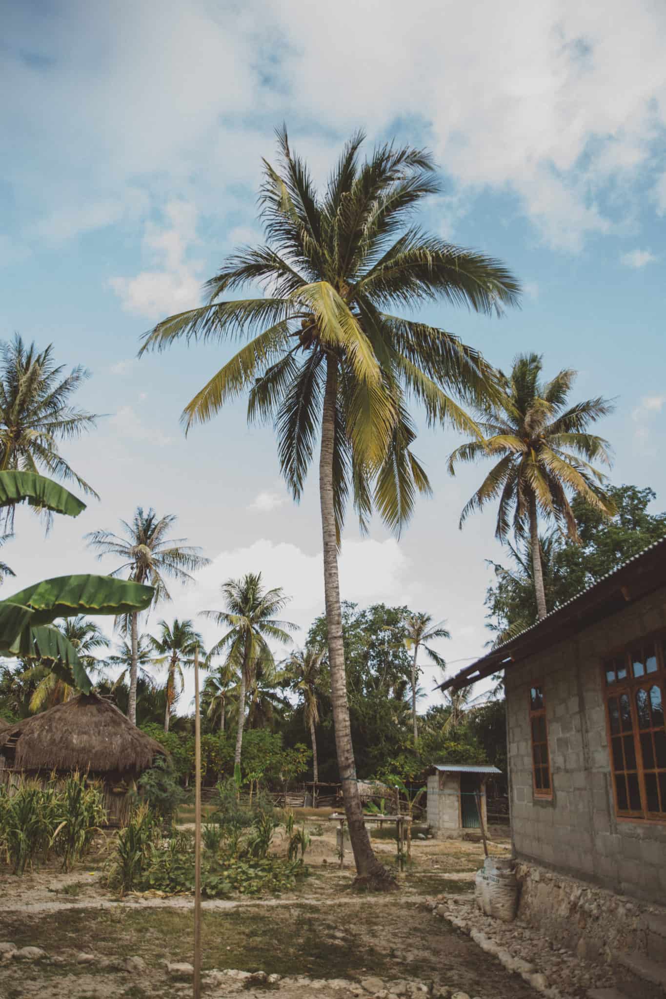 The World's Most Underrated Beaches - West Timor, Indonesia | The Mandagies