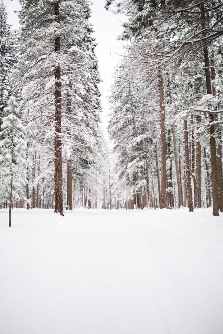 5 Adventurous PNW Cities You Need to Visit This Winter - The Mandagies