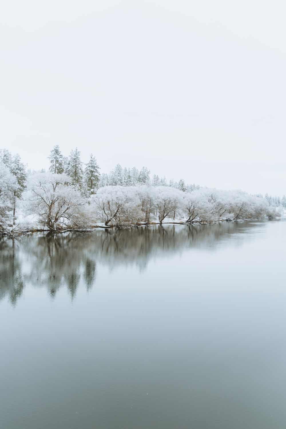 Photo Journal: Christmas Hike - The Mandagies