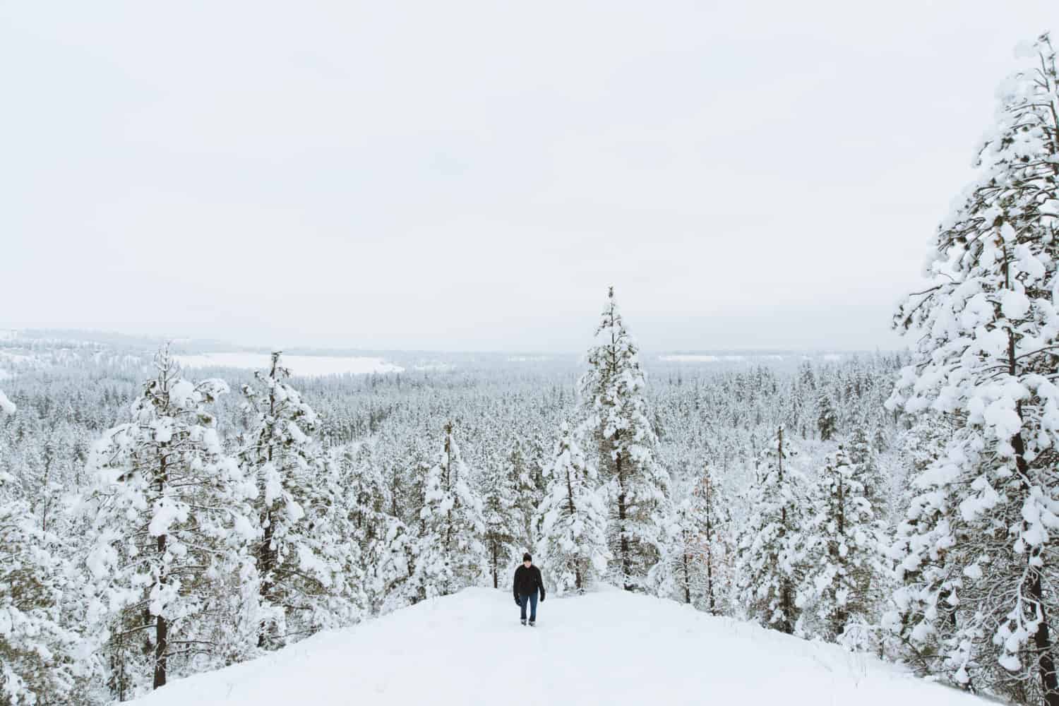 Photo Journal: Christmas Hike - The Mandagies