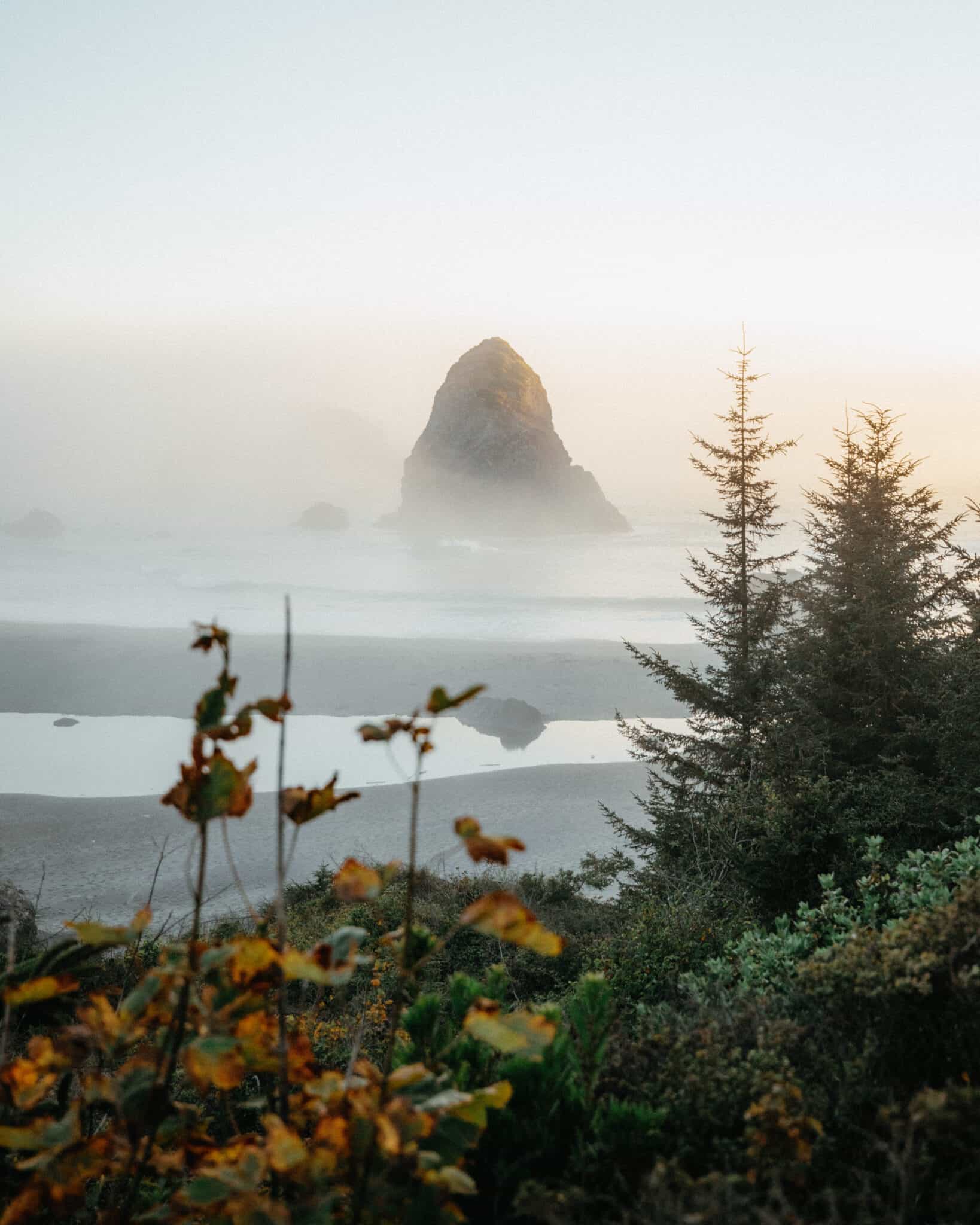 9 Drop-Dead Gorgeous Southern Oregon Coast Destinations (From Brookings ...