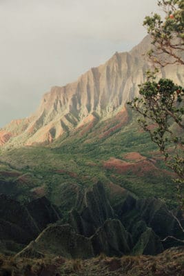 Hiking The Incredible Kalepa Ridge Trail - The Mandagies
