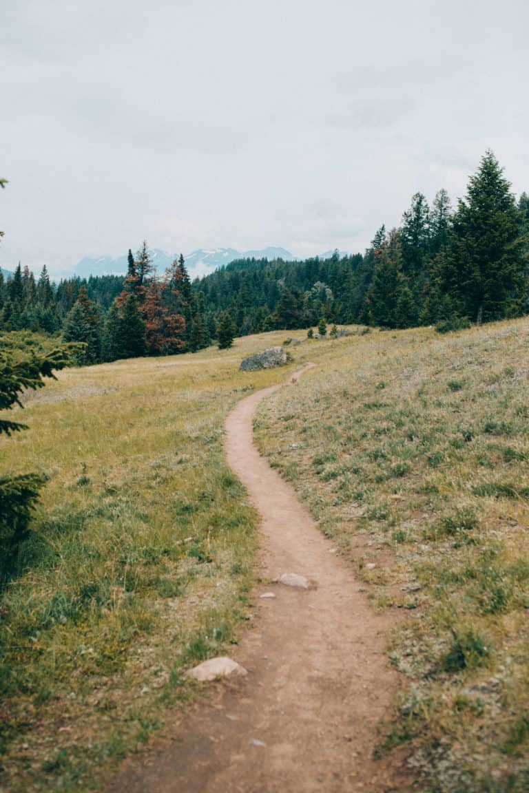 10 Easy Hikes In Jasper National Park To Introduce You To The Great ...