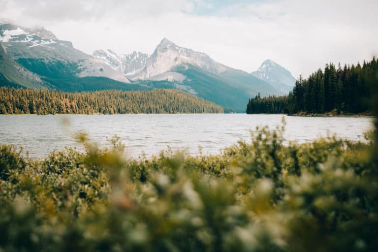 10 Easy Hikes In Jasper National Park To Introduce You To The Great ...