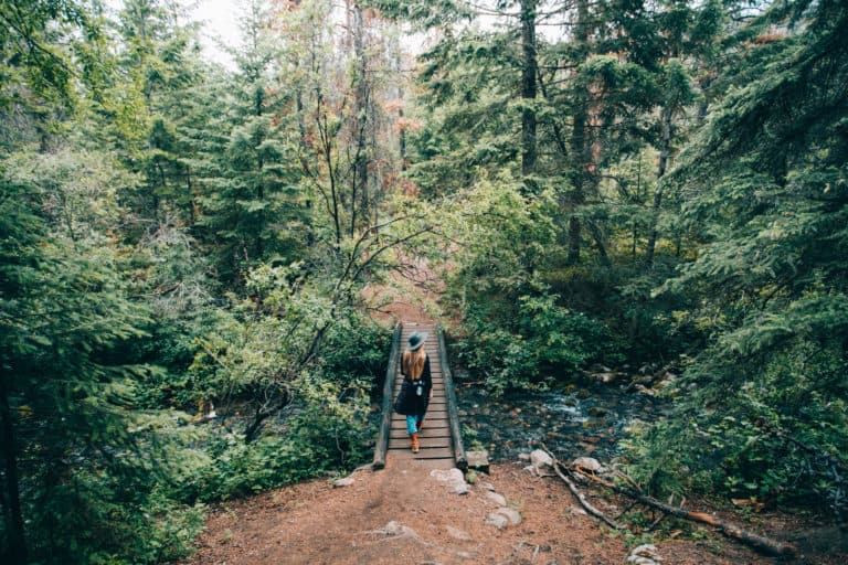 10 Easy Hikes In Jasper National Park To Introduce You To The Great ...