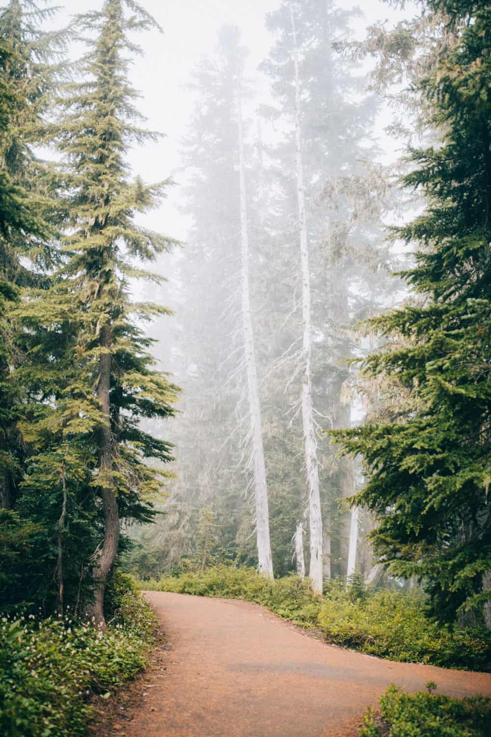 The Essential Guide To Camping in the PNW - The Mandagies