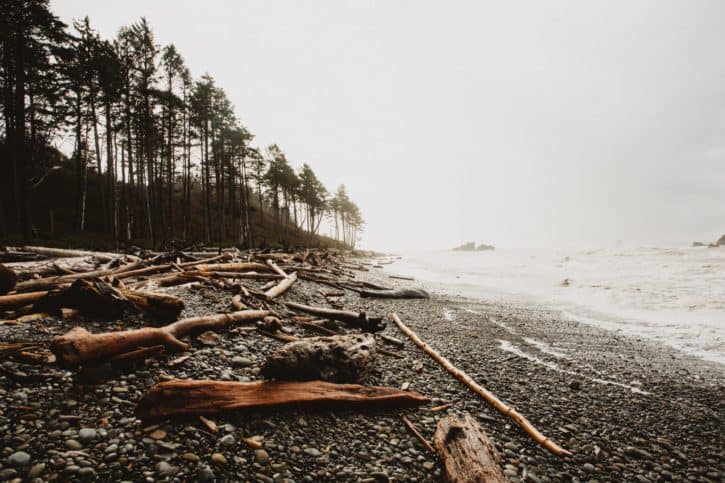 10 Stunning Washington Beaches To Make You Drive To The Coast Right Now ...