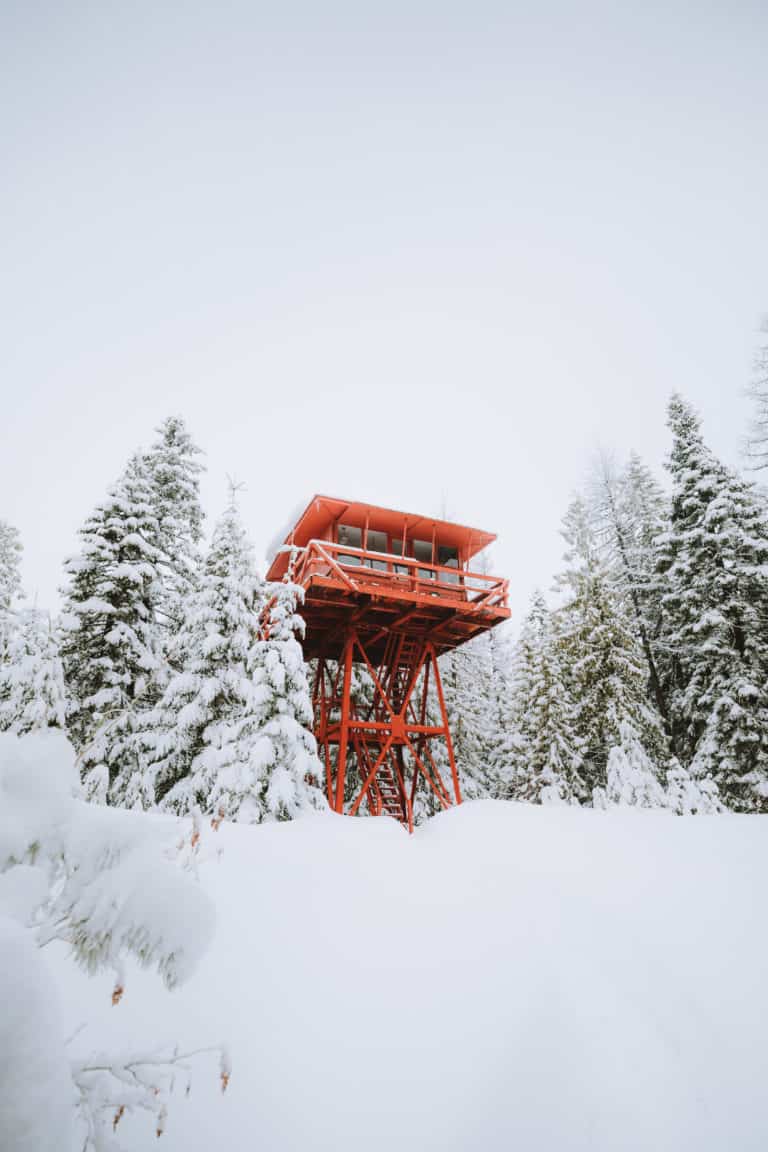 13 Amazing Pacific Northwest Cabins To Refresh Your Soul This Season ...