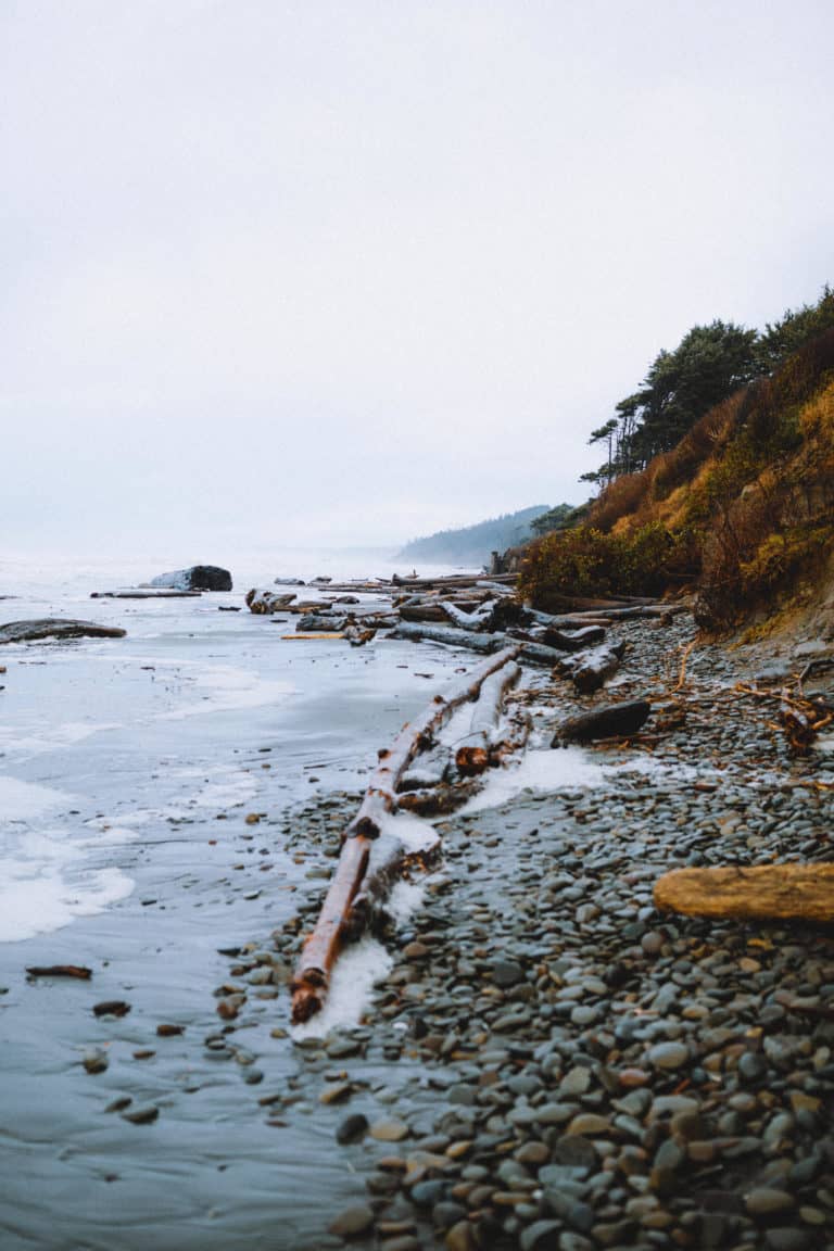 How To Get To The Kalaloch Tree of Life (24 Magical Hours at Kalaloch ...