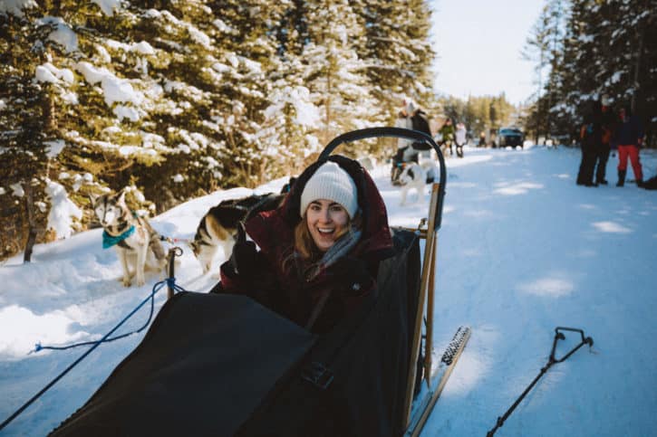 Dog Sledding In Banff - Absolutely Everything You Need To Know (Prices ...