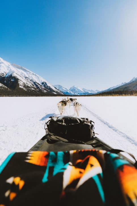 Dog Sledding In Banff - Absolutely Everything You Need To Know (Prices ...