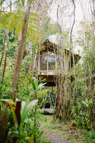 Wake Up In A Tropical Treehouse In Hawaii: The Best Airbnb In Hawaii ...