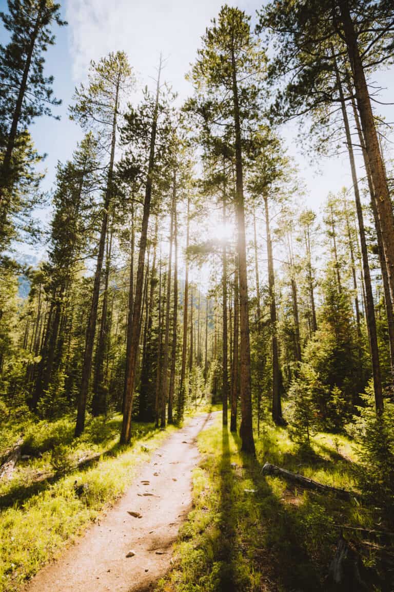 The Best Guide To String Lake Trail In The Grand Tetons, Wyoming - The ...