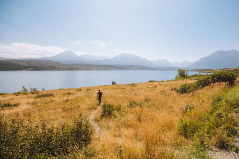 The Underrated Sun Point Nature Trail In Glacier You Need To See To ...