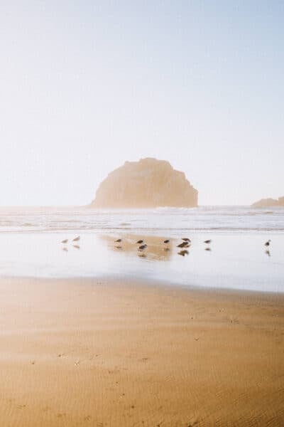 9 Stunning Sea Stacks At Face Rock State Scenic Viewpoint - The Mandagies
