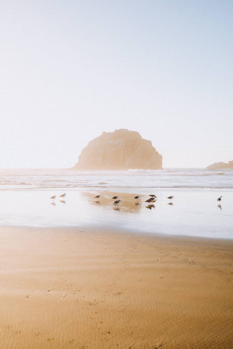 9 Stunning Sea Stacks At Face Rock State Scenic Viewpoint - The Mandagies