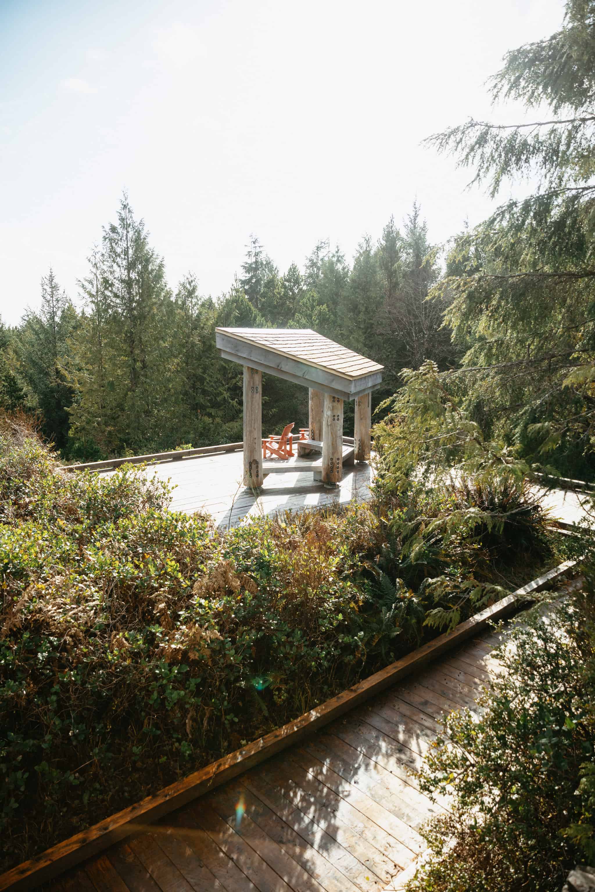 11+ Incredible Things To Do In Pacific Rim National Park (All The Best ...