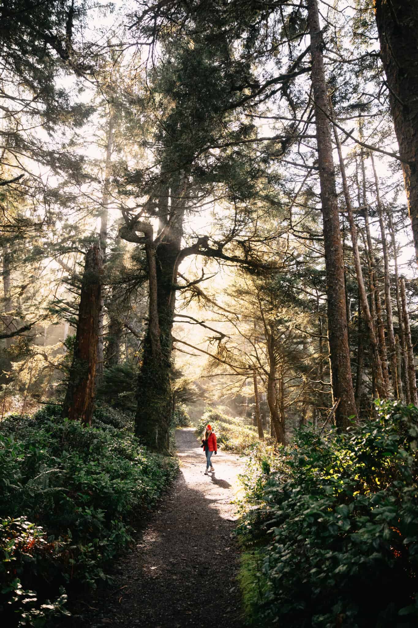 3 Days In Tofino: The Ultimate Tofino Itinerary For Adventurers - The ...