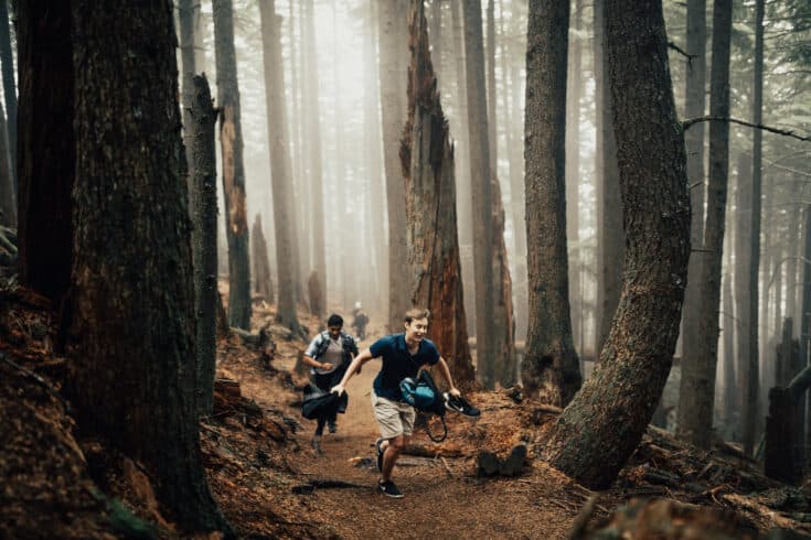 21 Stunning Hikes Near Seattle For A Quick Forest Adventure - The Mandagies