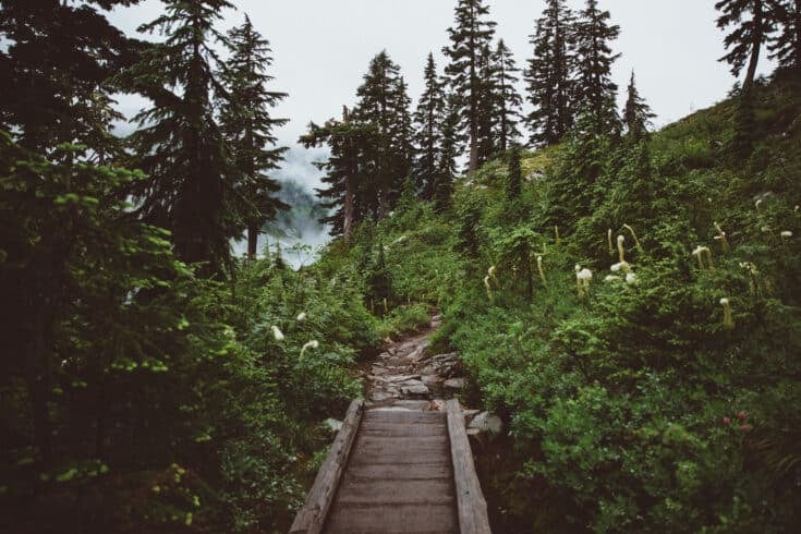 21 Stunning Hikes Near Seattle For A Quick Forest Adventure - The Mandagies