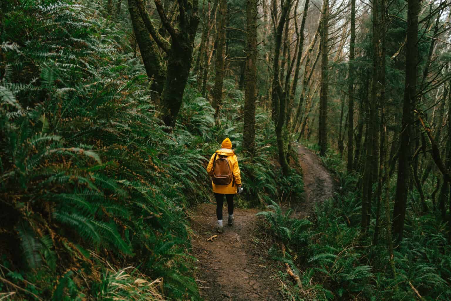 26 Jaw-Dropping Oregon Coast Hikes That Should Be On Your Bucket List ...