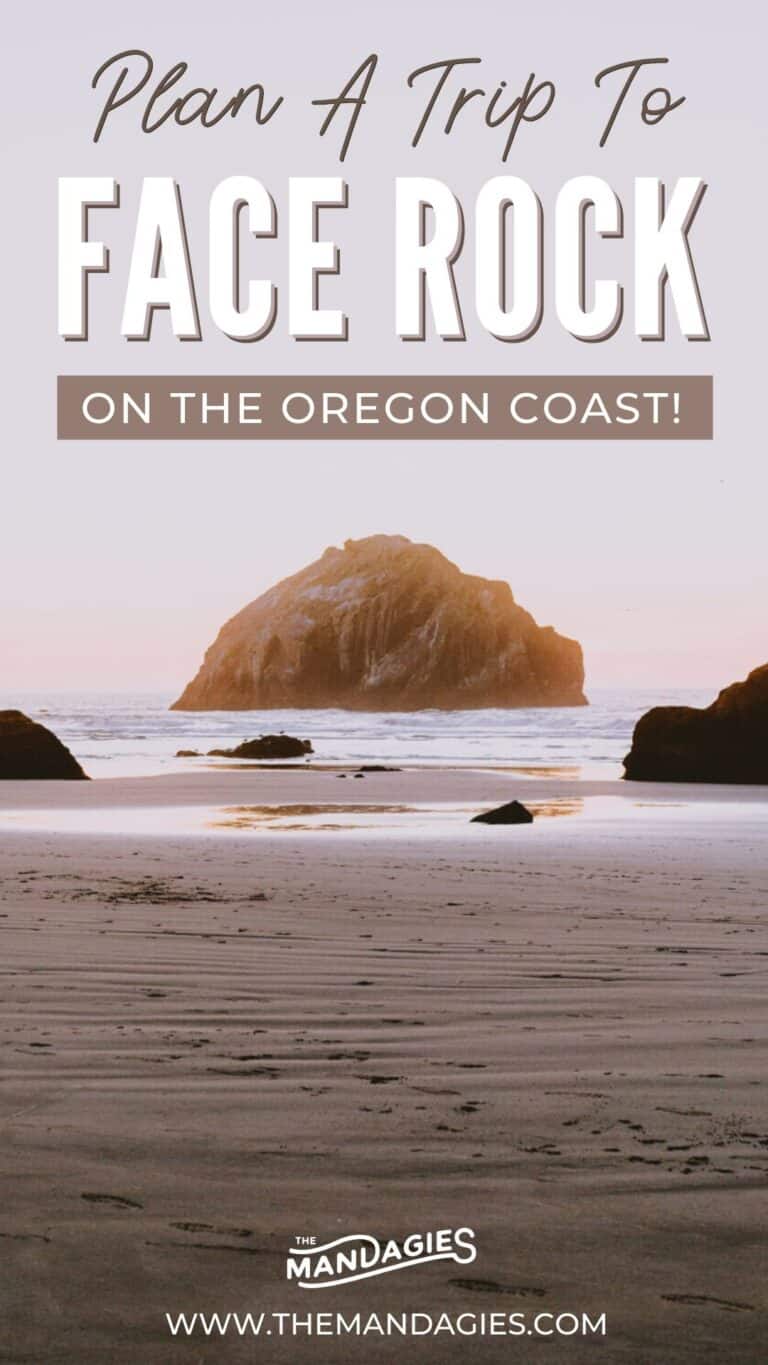 9 Stunning Sea Stacks At Face Rock State Scenic Viewpoint - The Mandagies