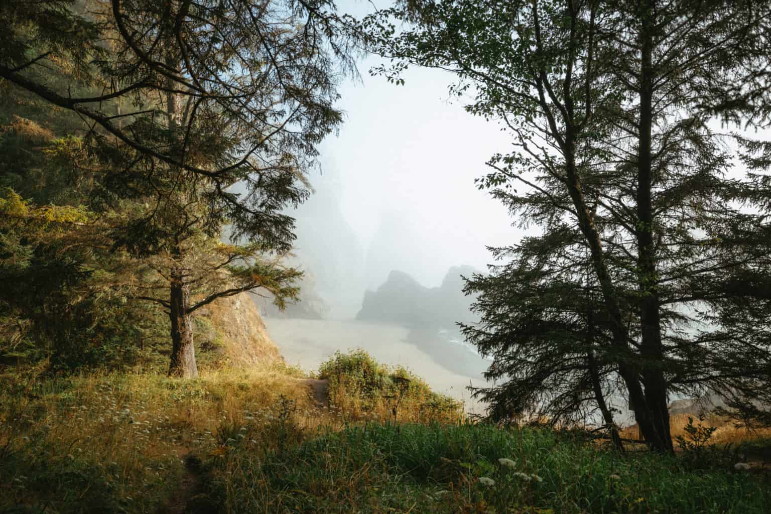 The Complete Guide To Samuel H. Boardman State Park (+ How To Get To ...