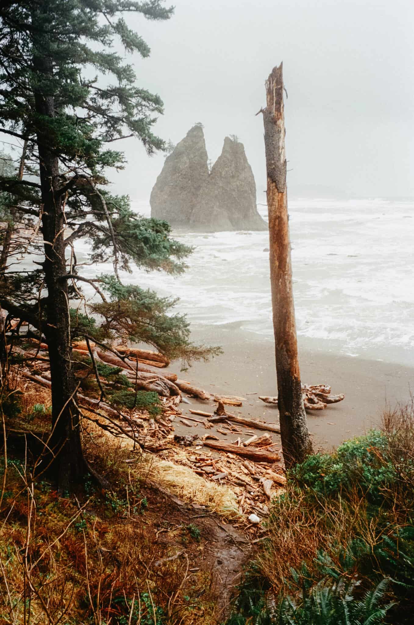 The 12 Best 35mm Film In Color For Gorgeous Images - The Mandagies