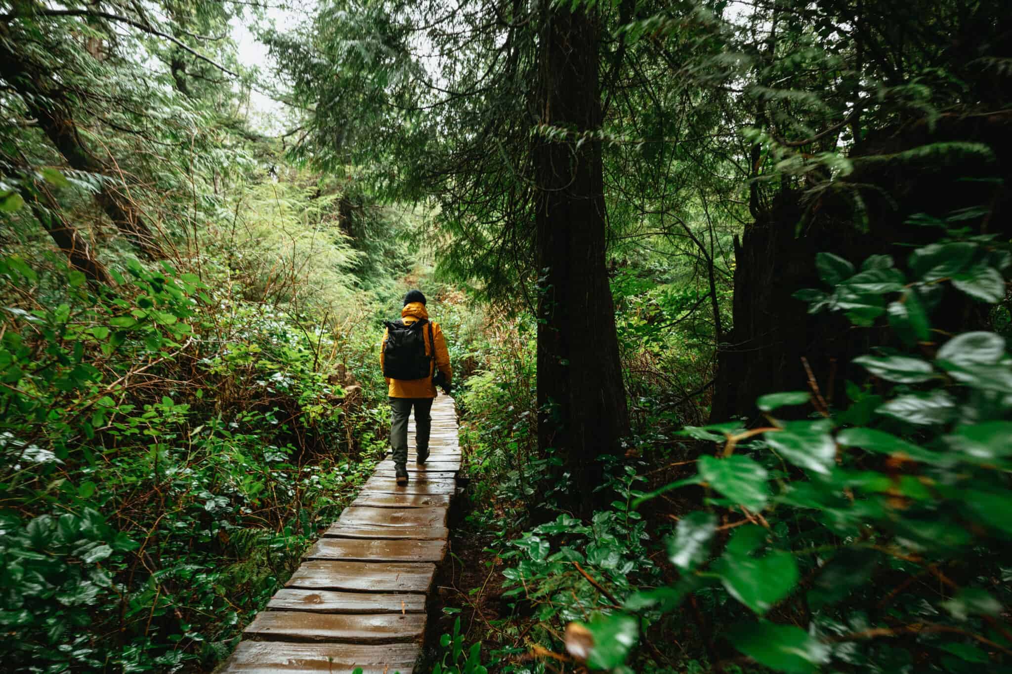 10 Awesome Beginner Backpacking Trips In Washington State Not Just For