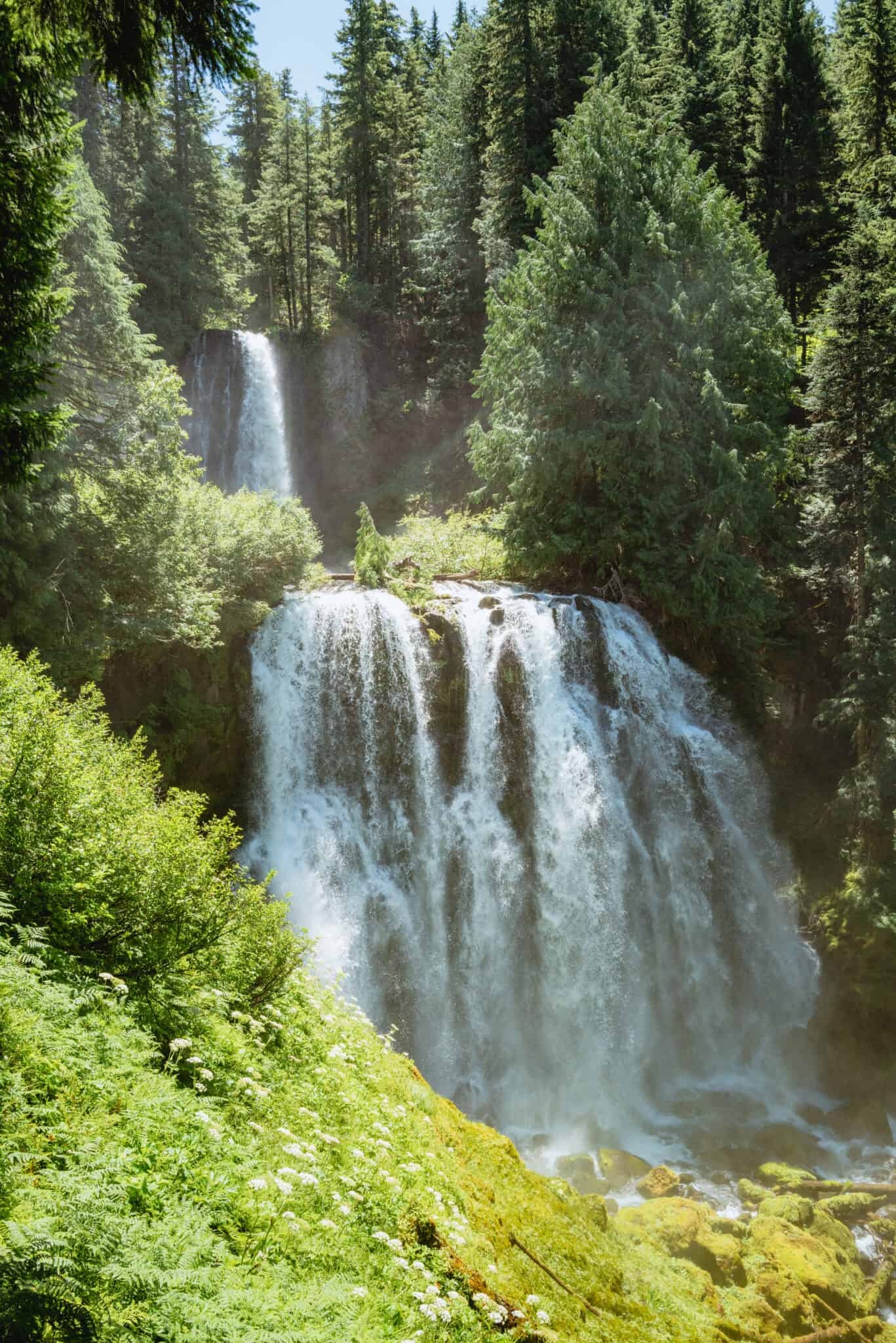 150+ of the best Oregon waterfalls you need to add to your bucket list ...