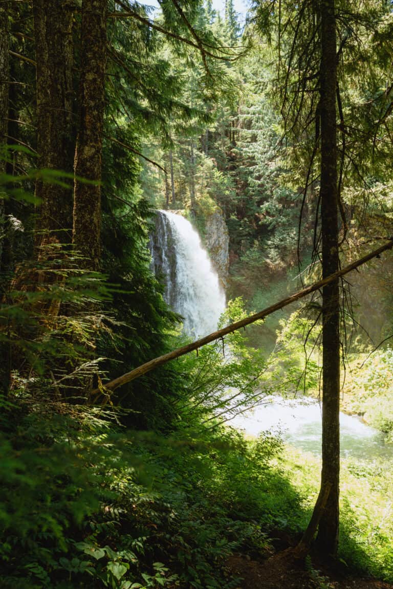 How To Reach The Awe-Inspiring Marion Falls and Gatch Falls in Oregon ...