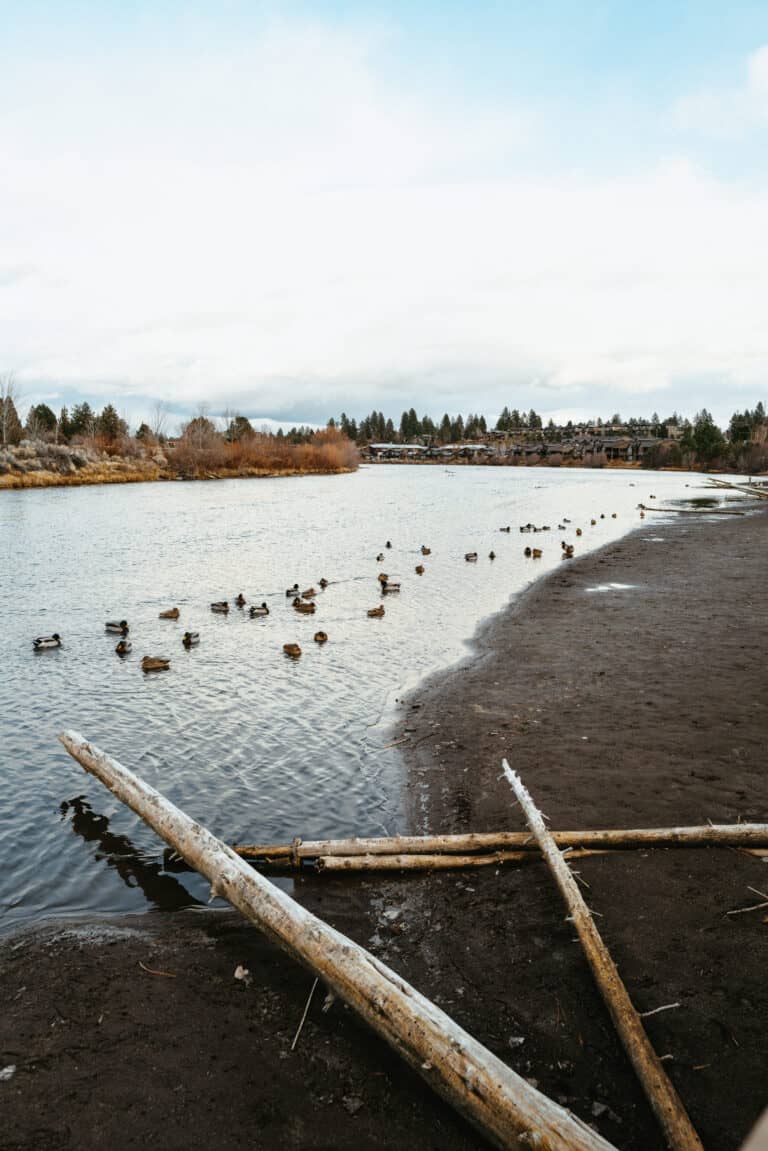 The Ultimate Bend Oregon Itinerary (How To Spend 4 Days In Bend) - The ...