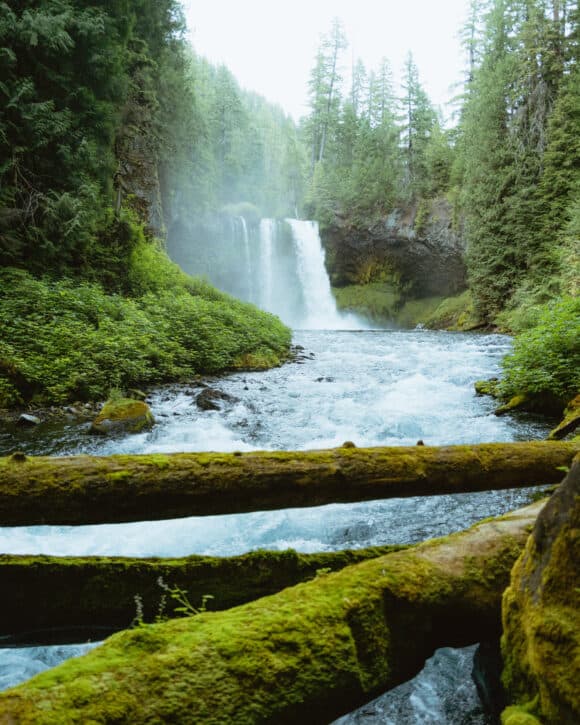 10 Dreamy Oregon Spring Break Destinations For 2024 - The Mandagies