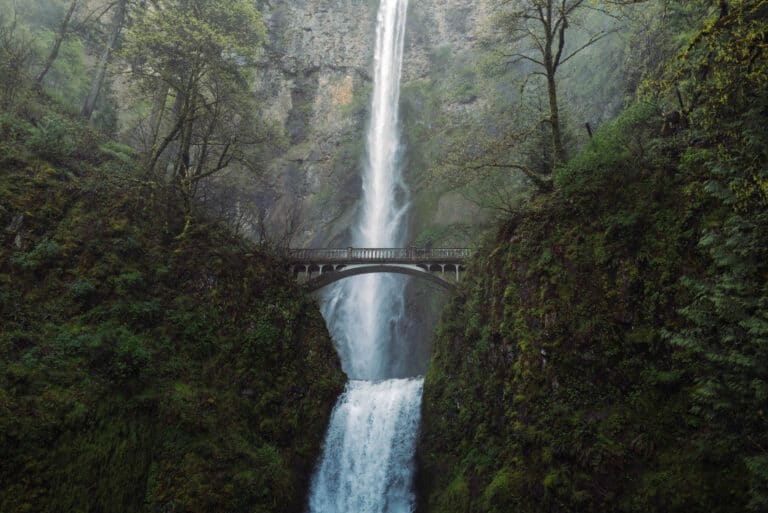 The 20 Best Hikes Near Portland, Oregon - The Mandagies