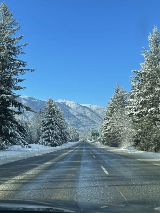 31 Brilliant Smartphone Landscape Photography Tips To Elevate Your ...