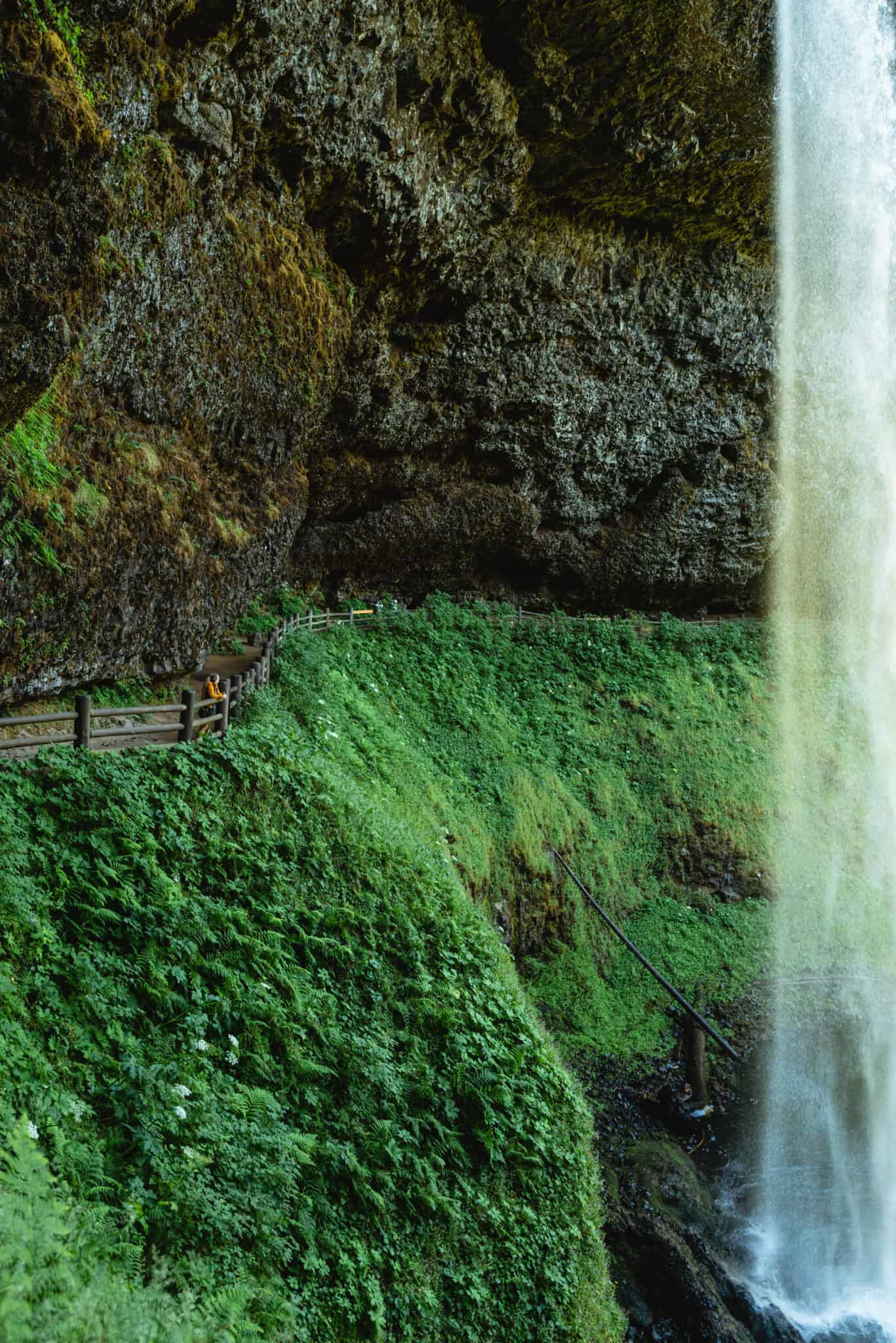 8 Incredible Walk Behind Waterfalls in Oregon - The Mandagies