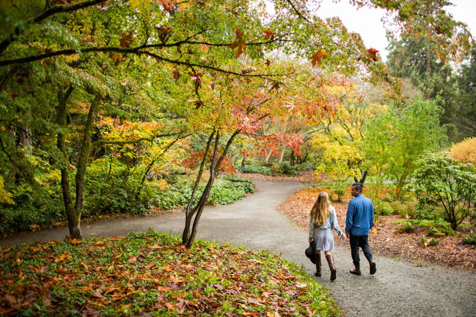 21 Stunning Hikes Near Seattle For A Quick Forest Adventure - The Mandagies