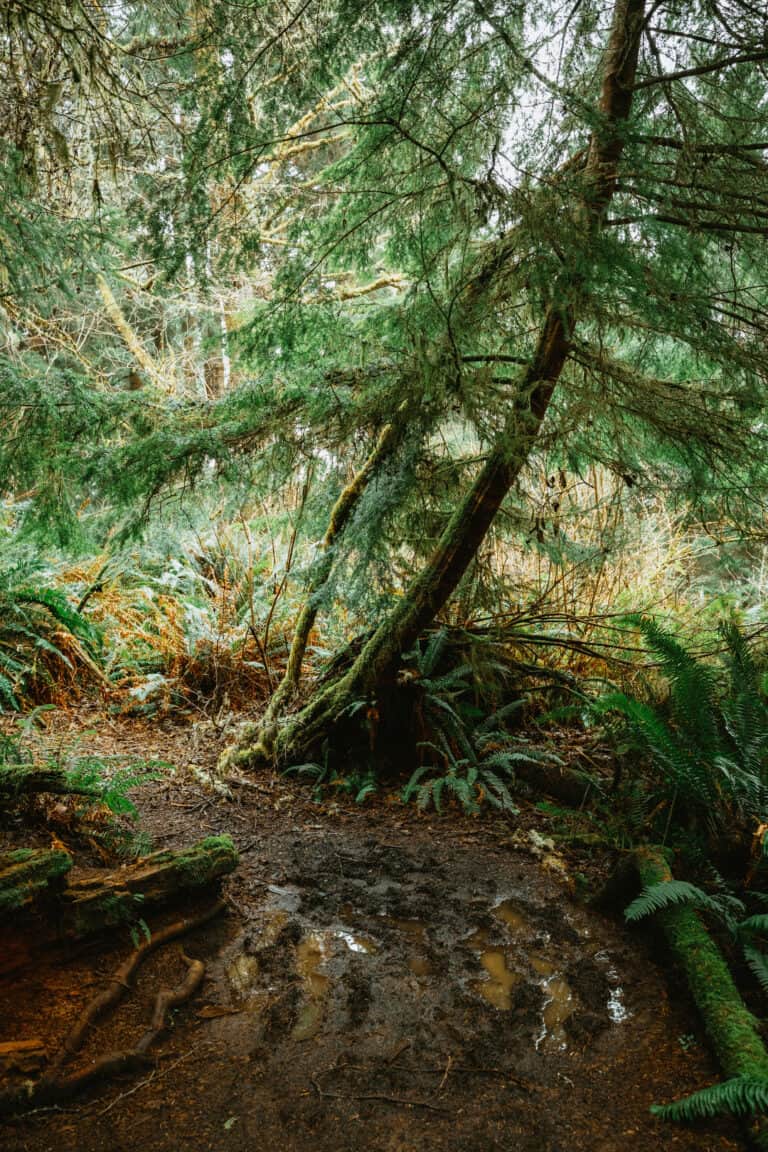 The 12 Most Haunted Places In Oregon - The Mandagies