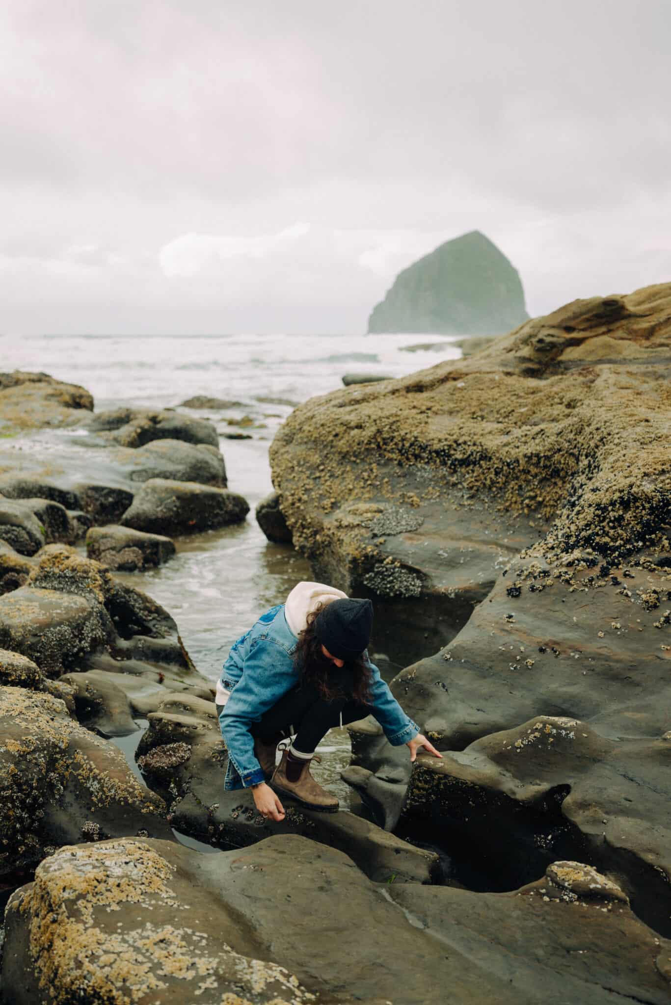 16 Curious and Diverse Oregon Coast Tide Pools You Must Visit - The ...