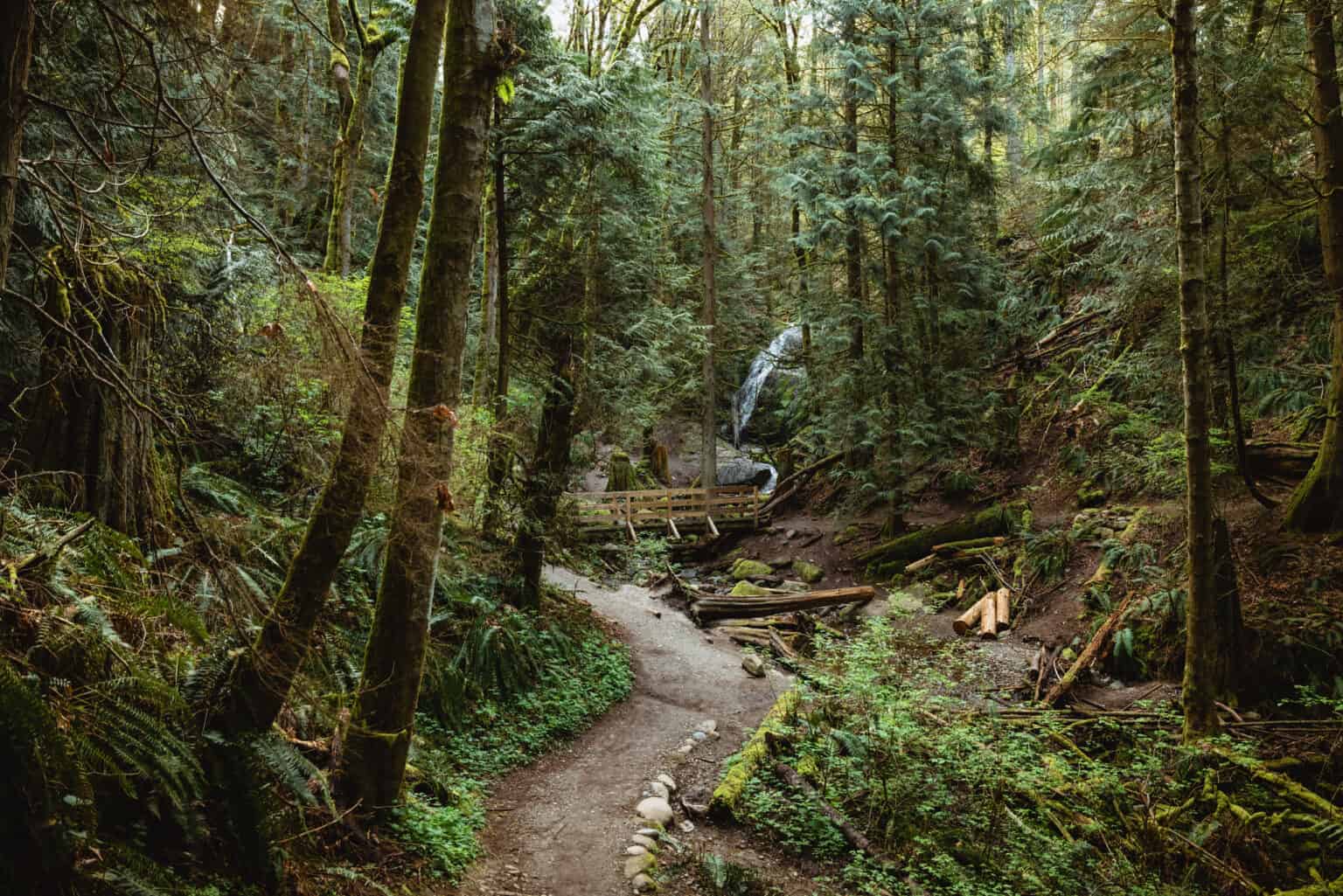 The 21 Most Haunted Hikes in the Pacific Northwest - The Mandagies