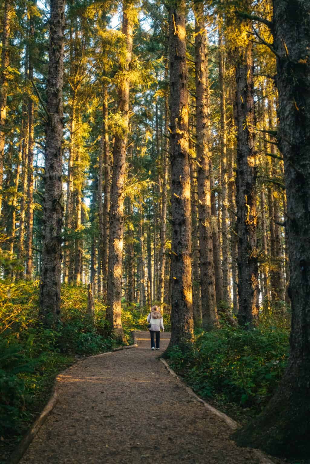 The Ultimate Guide To Cape Meares State Scenic Viewpoint