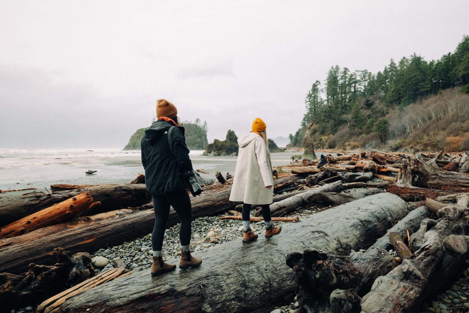 The Complete Guide to Beachcombing in the Pacific Northwest - The Mandagies