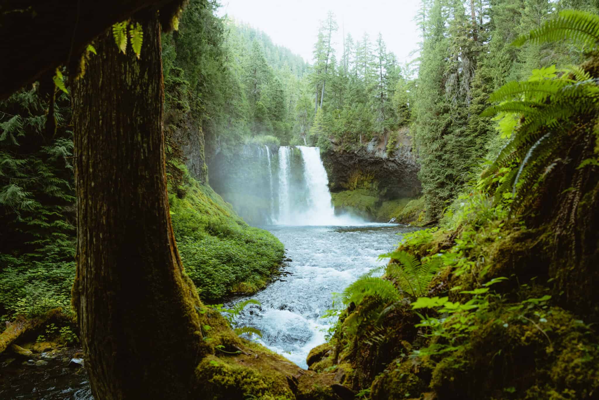 The 13 Best Waterfalls Near Bend, Oregon - The Mandagies