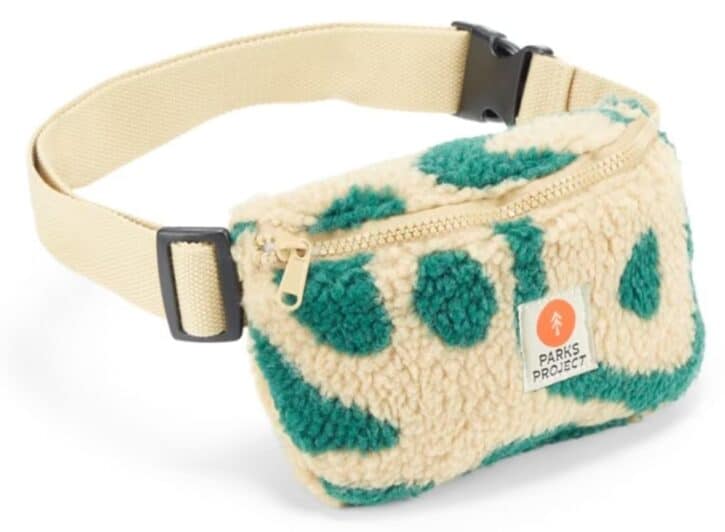 The 14 Best Fanny Packs For Hiking and Outdoor Adventure - The Mandagies