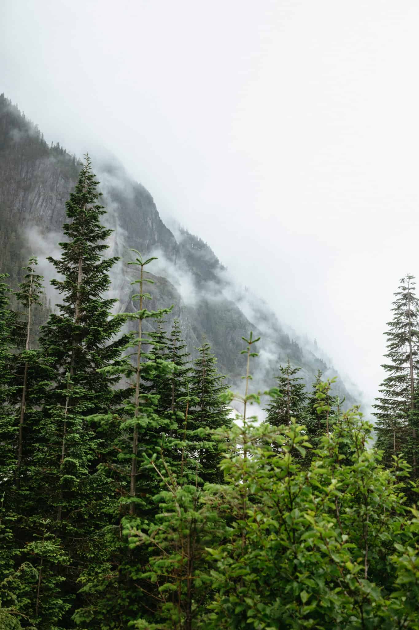 30 Fun Facts About North Cascades National Park - The Mandagies