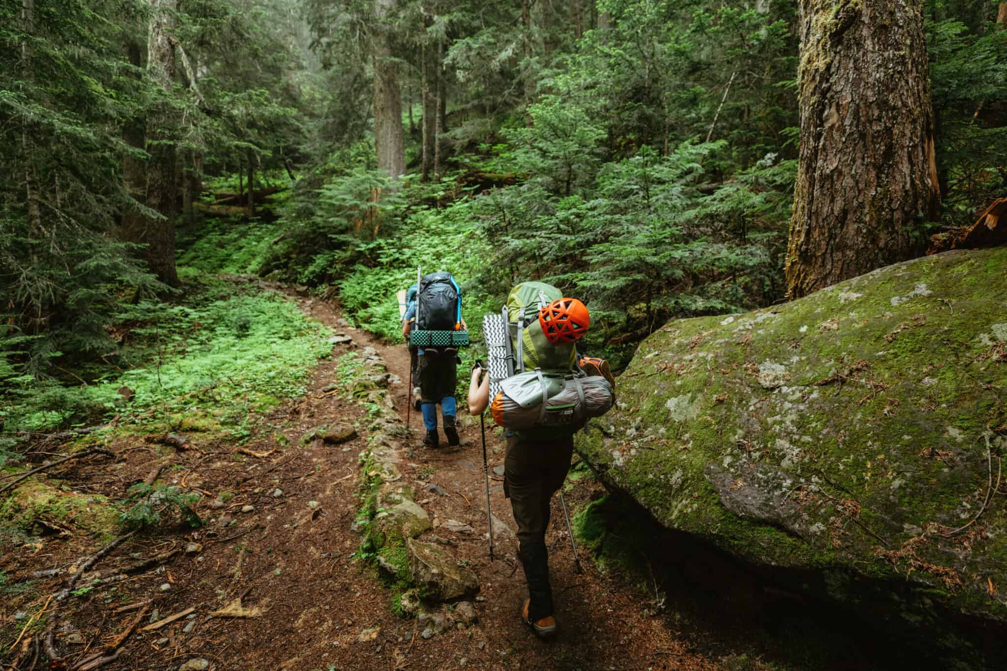 30 Fun Facts About North Cascades National Park - The Mandagies