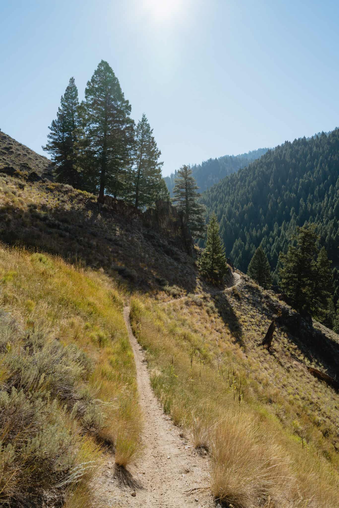 The Ultimate Guide To Skillern Hot Springs in Idaho - The Mandagies