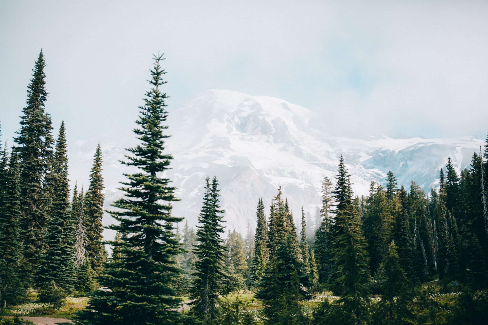 22 Fun Facts About Mount Rainier National Park - The Mandagies