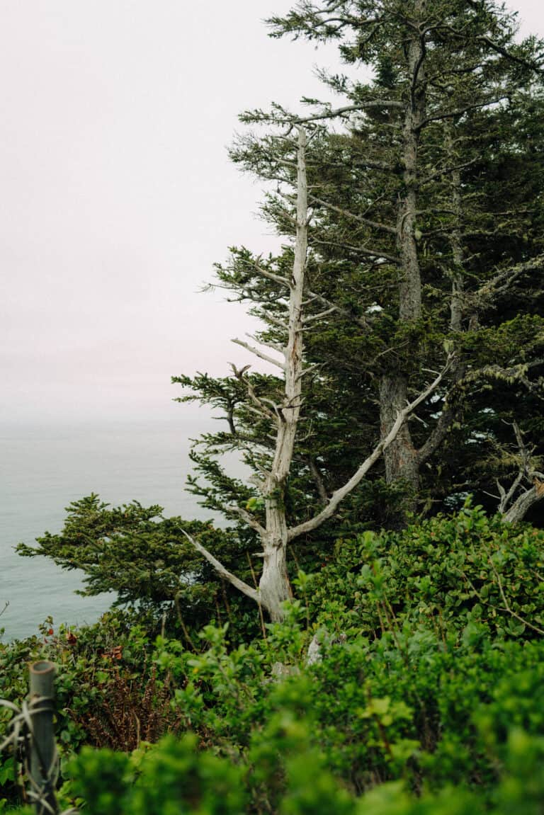 9 Epic Things To Do At Cape Lookout State Park - The Mandagies