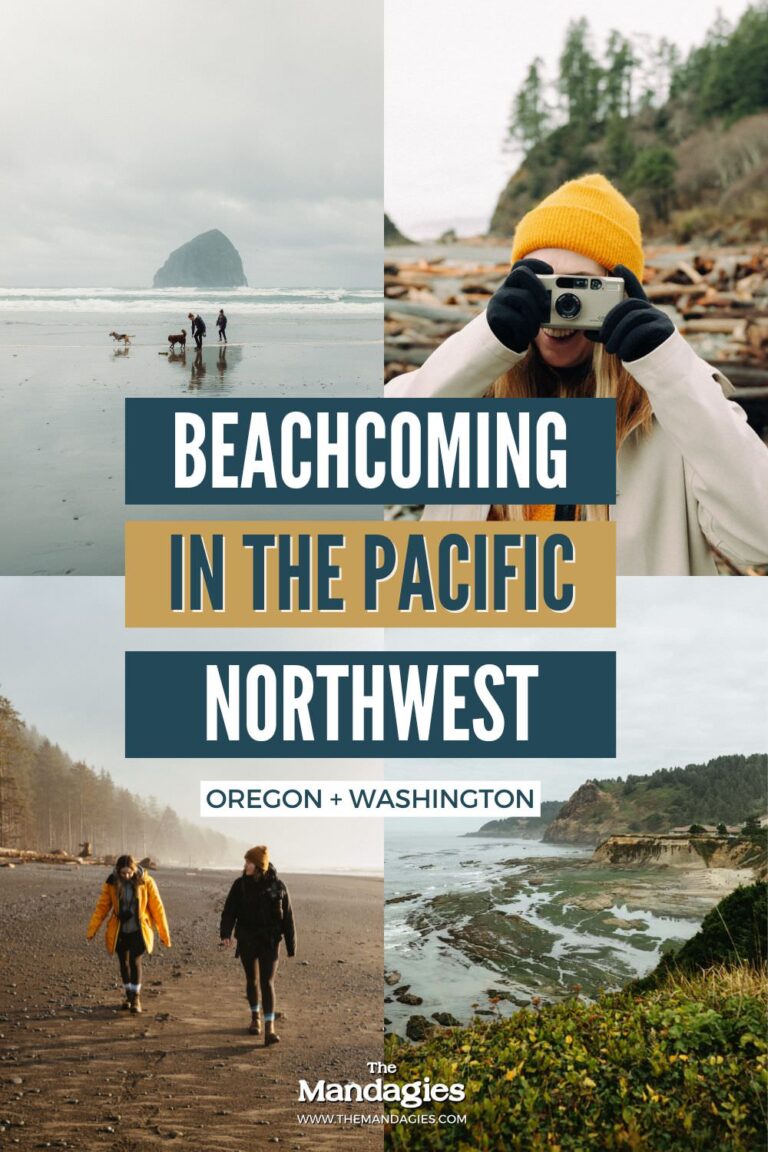 The Complete Guide to Beachcombing in the Pacific Northwest - The Mandagies